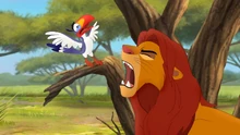 Simba | The Lion Guard Wiki | Fandom