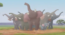 Ma Tembo | The Lion Guard Wiki | Fandom