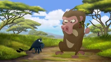 Baboons (animal) | The Lion Guard Wiki | Fandom