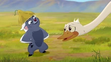 Mbuni | The Lion Guard Wiki | Fandom