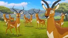 Impalas | The Lion Guard Wiki | Fandom