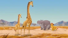 Pride Lands | The Lion Guard Wiki | Fandom