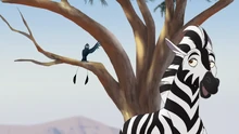 Thurston | The Lion Guard Wiki | Fandom