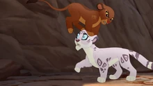 Rani | The Lion Guard Wiki | Fandom