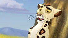 Badili | The Lion Guard Wiki | Fandom
