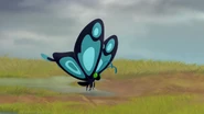 Butterflies/Gallery/Bunga the Wise (episode) | The Lion Guard Wiki | Fandom