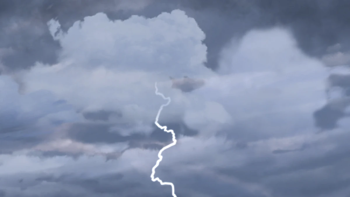 Rainy Season/Gallery/The Mbali Fields Migration | The Lion Guard Wiki | Fandom