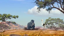 Mbuni | The Lion Guard Wiki | Fandom