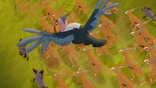 Vultures | The Lion Guard Wiki | Fandom