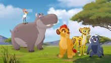 Lion Guard (group) | The Lion Guard Wiki | Fandom