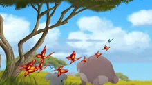 Butterflies | The Lion Guard Wiki | Fandom