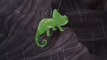 Chameleons | The Lion Guard Wiki | Fandom