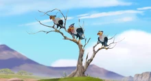 Mzingo's Parliament | The Lion Guard Wiki | Fandom