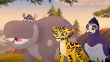 Anga | The Lion Guard Wiki | Fandom