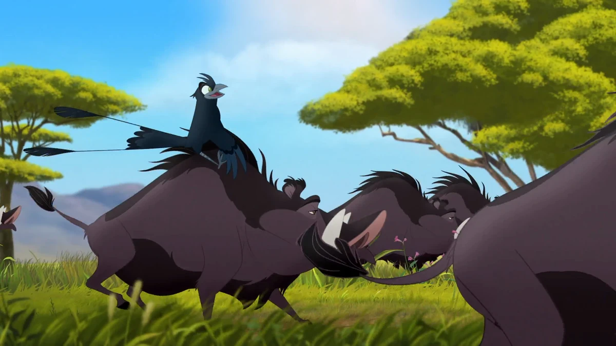 Forest Hogs/Gallery/The Call of the Drongo | The Lion Guard Wiki | Fandom