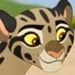 Clouded Leopards | The Lion Guard Wiki | Fandom