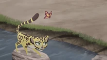 Butterflies | The Lion Guard Wiki | Fandom