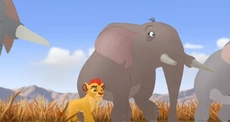 Ma Tembo | The Lion Guard Wiki | Fandom