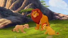 Simba | The Lion Guard Wiki | Fandom