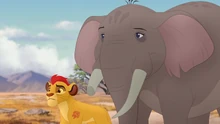 Ma Tembo | The Lion Guard Wiki | Fandom