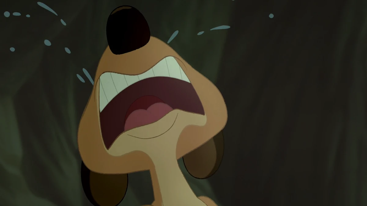 Timon/Gallery/Bunga and the King | The Lion Guard Wiki | Fandom