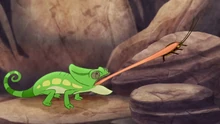 Chameleons | The Lion Guard Wiki | Fandom