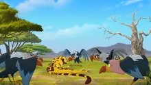 Mzingo's Parliament | The Lion Guard Wiki | Fandom