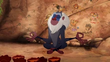 Rafiki | The Lion Guard Wiki | Fandom