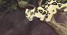 Makucha's Leap | The Lion Guard Wiki | Fandom
