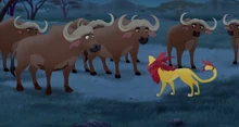 Pride Lands | The Lion Guard Wiki | Fandom