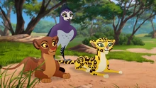 Rani | The Lion Guard Wiki | Fandom