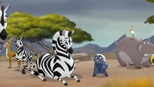 Bunga | The Lion Guard Wiki | Fandom
