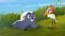 Bunga | The Lion Guard Wiki | Fandom