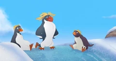 Female Penguin/Relationships | The Lion Guard Wiki | Fandom