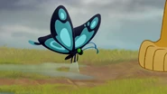 Butterflies/Gallery/Bunga the Wise (episode) | The Lion Guard Wiki | Fandom