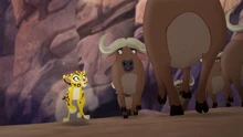 Fuli | The Lion Guard Wiki | Fandom