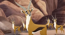 Swala | The Lion Guard Wiki | Fandom