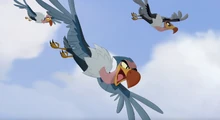 Mzingo's Parliament | The Lion Guard Wiki | Fandom
