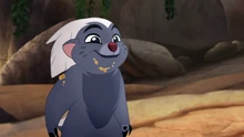 Bunga | The Lion Guard Wiki | Fandom