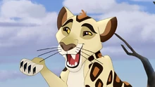 Badili | The Lion Guard Wiki | Fandom