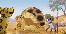 Kongwe | The Lion Guard Wiki | Fandom