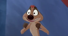 Timon | The Lion Guard Wiki | Fandom