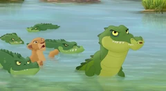 Nala/Relationships | The Lion Guard Wiki | Fandom