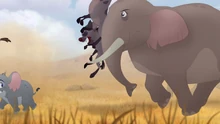 Ma Tembo | The Lion Guard Wiki | Fandom