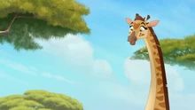 Twiga | The Lion Guard Wiki | Fandom