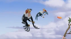 Male Vulture/Relationships | The Lion Guard Wiki | Fandom