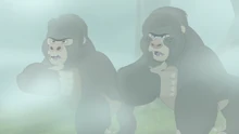 Hafifu | The Lion Guard Wiki | Fandom