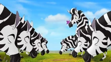Thurston's Herd | The Lion Guard Wiki | Fandom