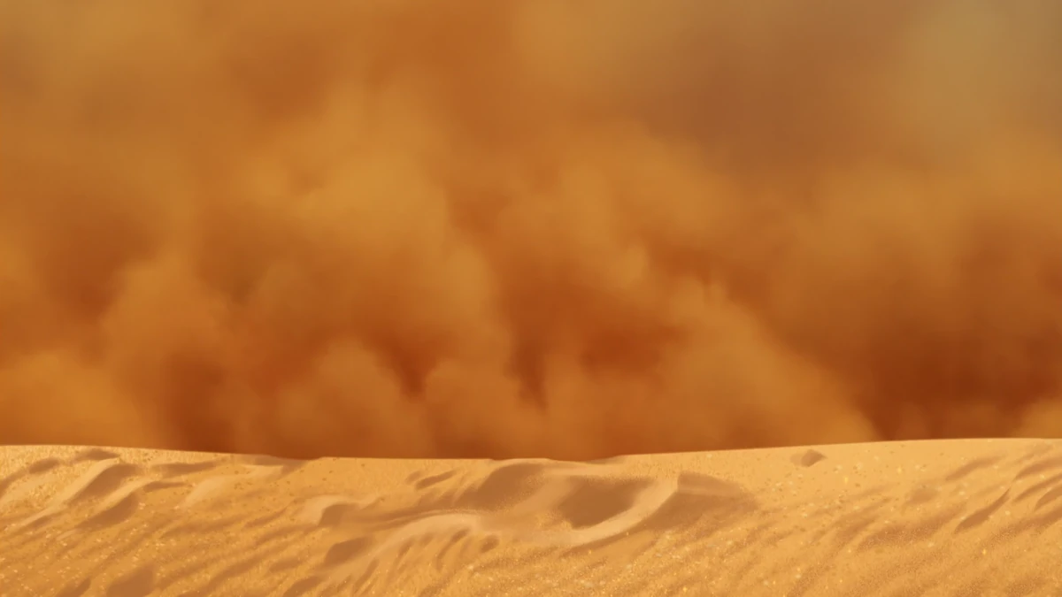 Sand Storm | The Lion Guard Wiki | Fandom