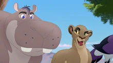 Imara | The Lion Guard Wiki | Fandom